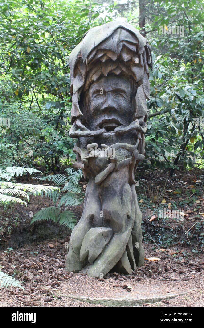 The Green Man by Denius Parson Stock Photo - Alamy