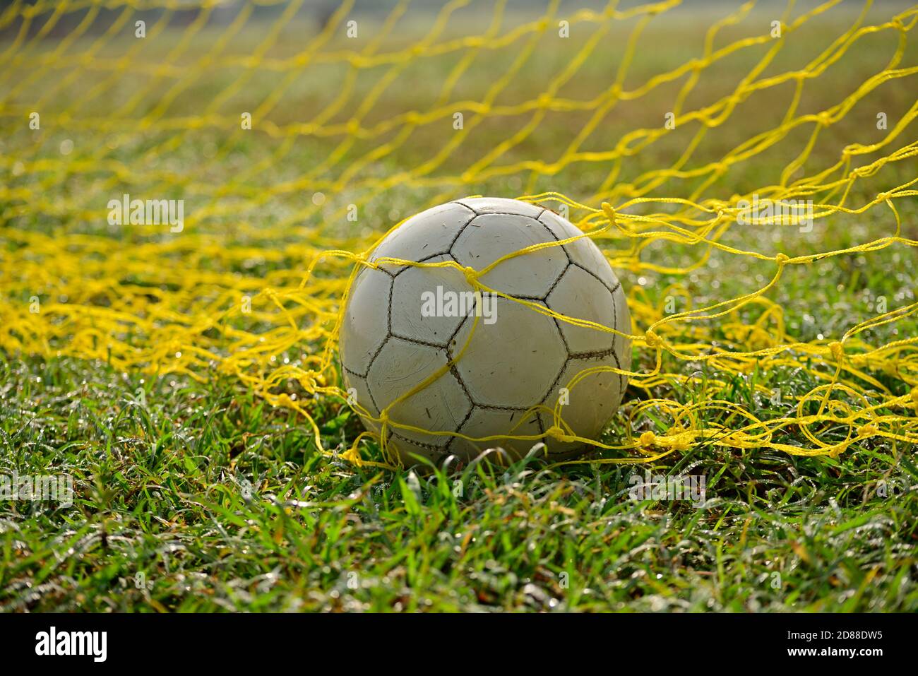 Soccer ball in goal net with green grass soccer field Stock Photo - Alamy
