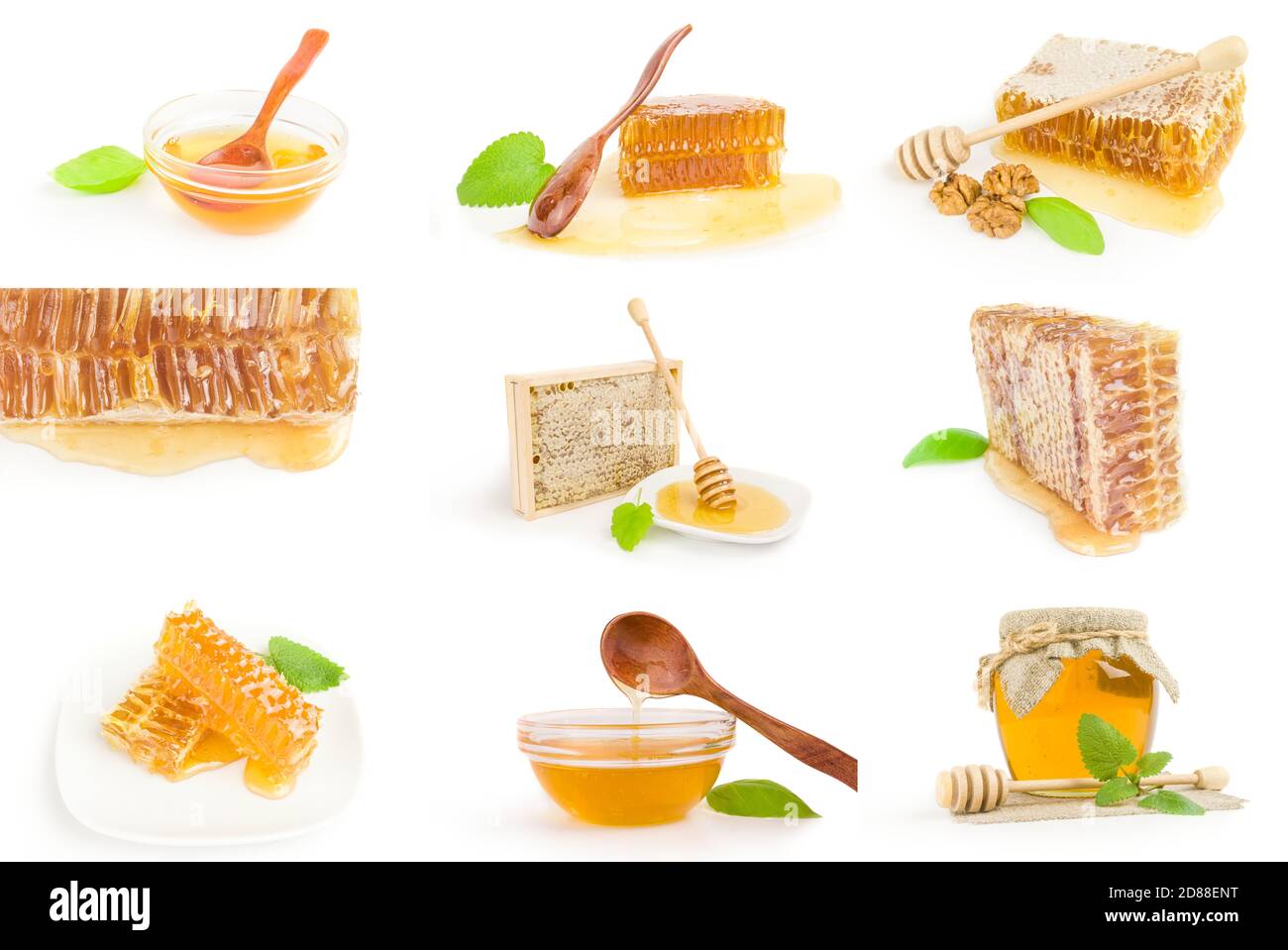 Collection of Honey bee isolated on a white background cutout Stock ...