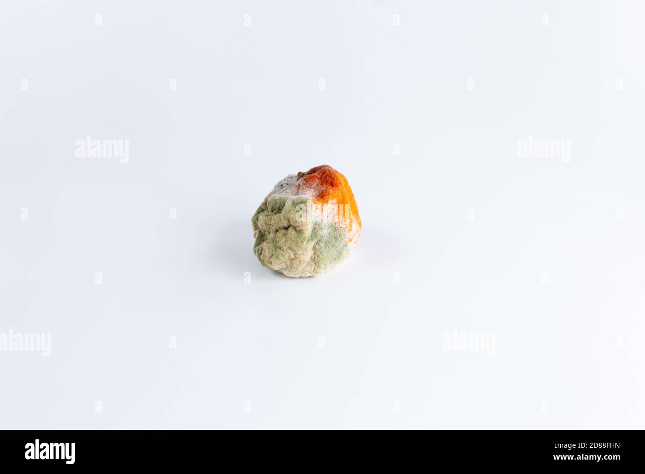 moldy rotten orange tangerine on a white background, spoiled fruit, bad ...
