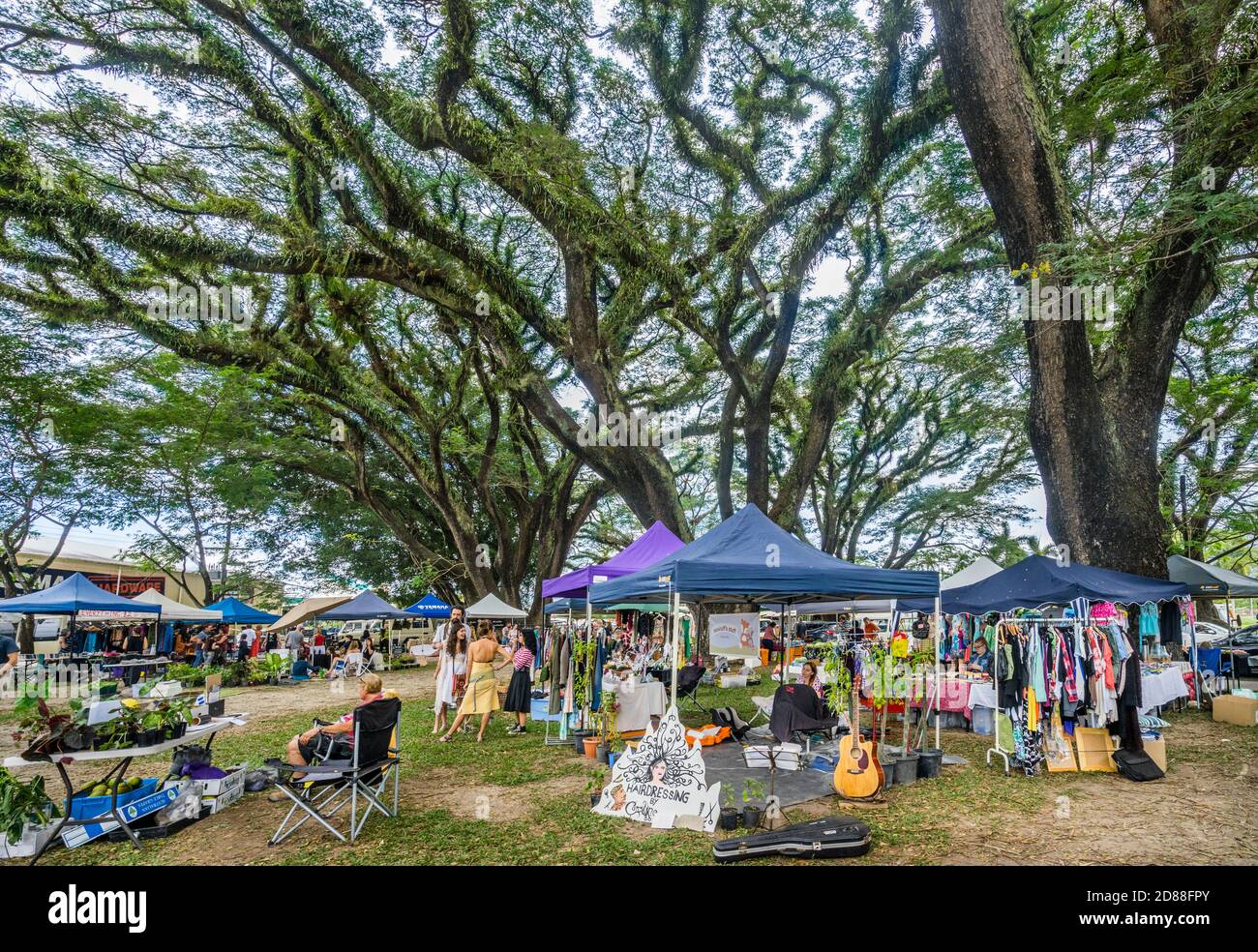 Mossman Community Markets, under the shady canopy of huge, ancient ...