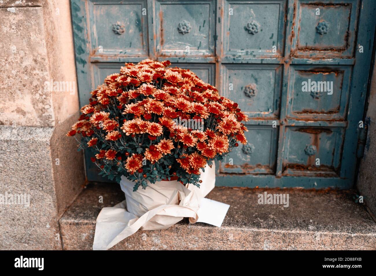 Rituals plant hi-res stock photography and images - Alamy