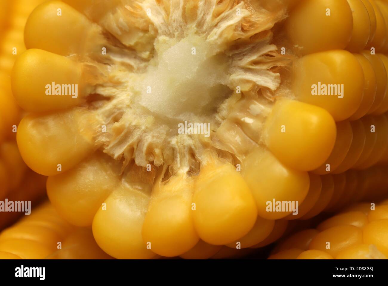 Cooked corn, healthy vegan snack Stock Photo - Alamy
