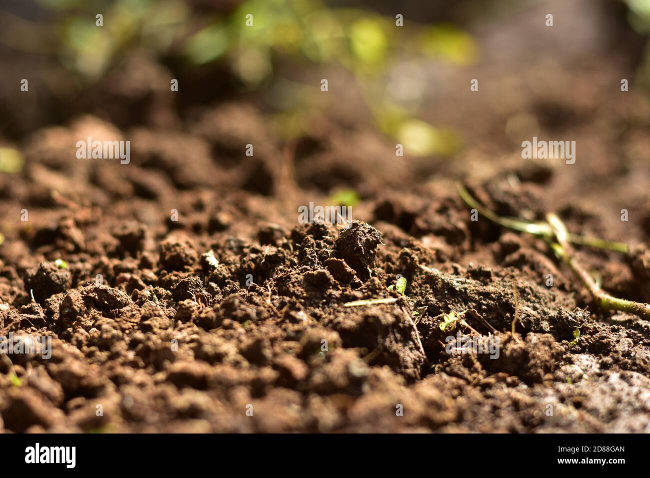 Clean soil cultivation potting hi-res stock photography and images - Alamy
