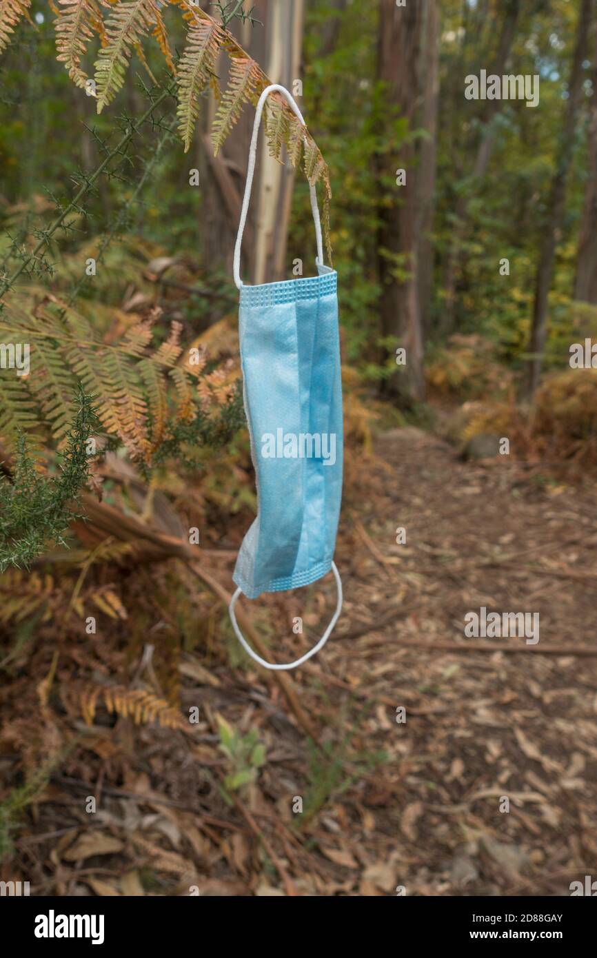 Blue Surgical mask left behind in forest, pollution Stock Photo - Alamy