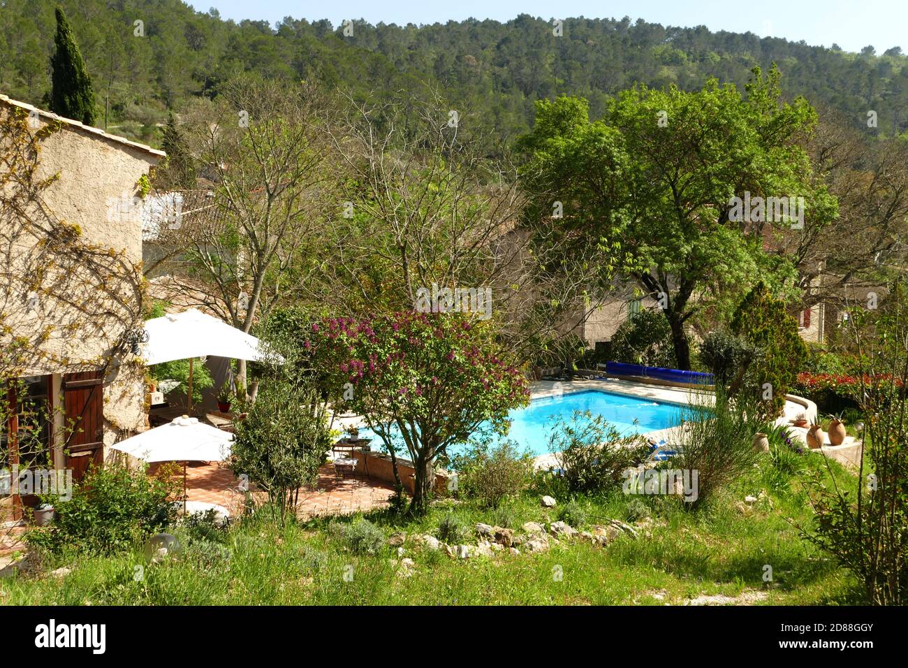 House with pool in Provence Stock Photo - Alamy