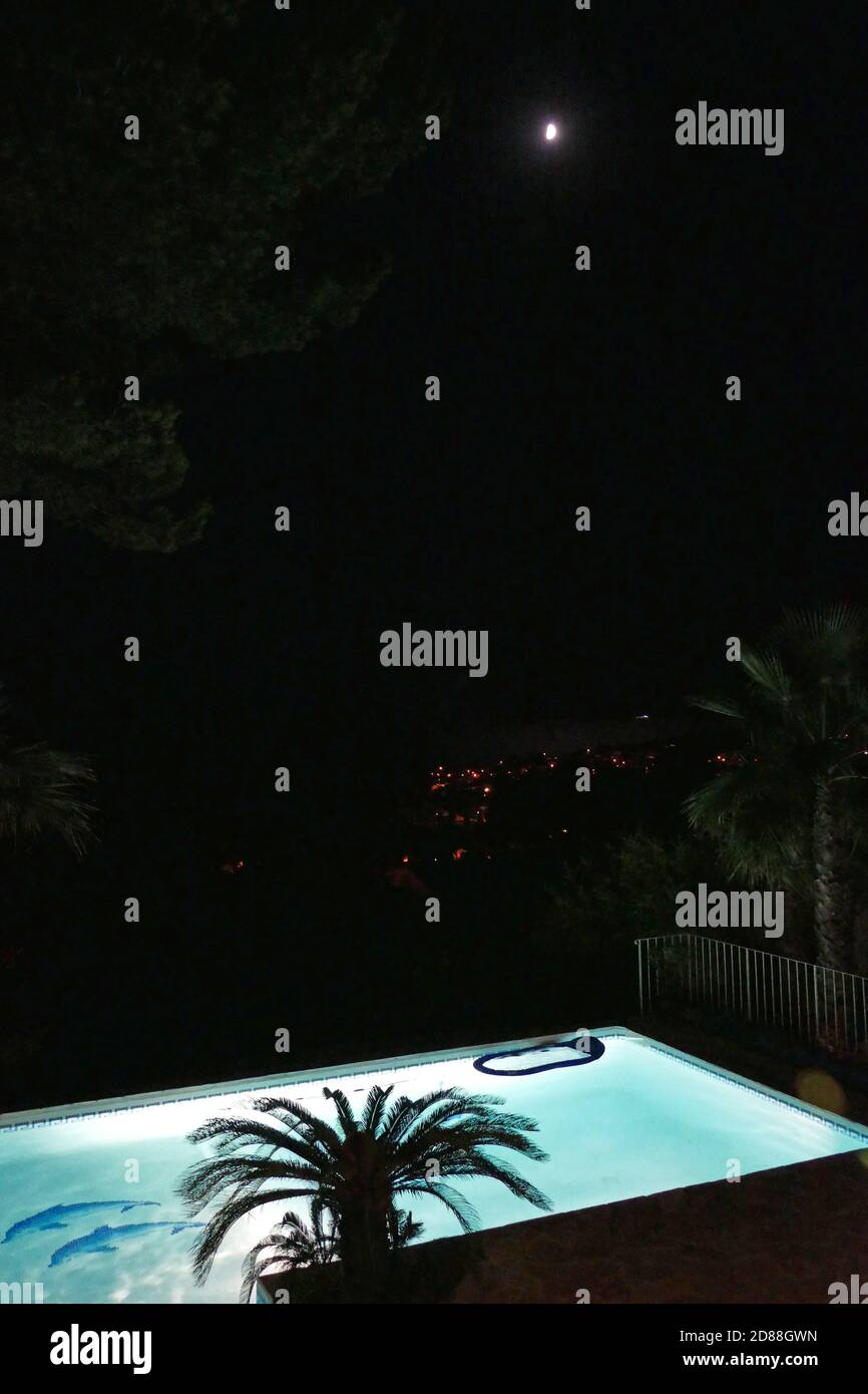 Dolphin pool hi-res stock photography and images - Alamy