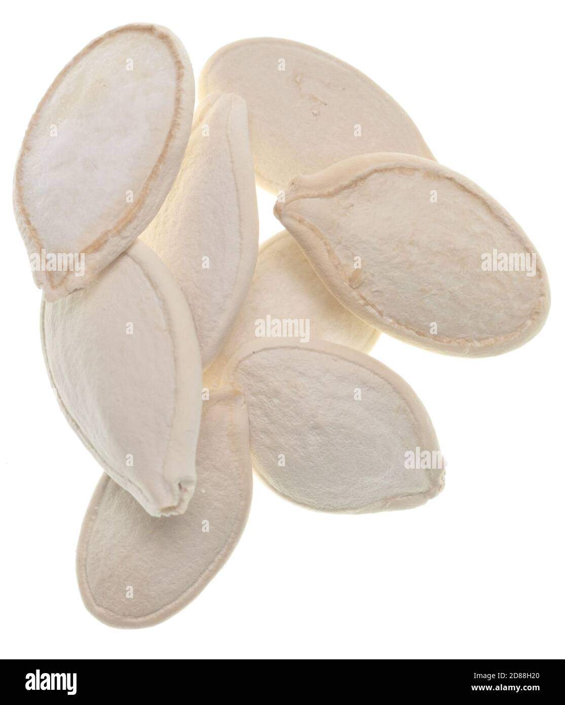Pumpkin seeds isolated on white background Stock Photo - Alamy