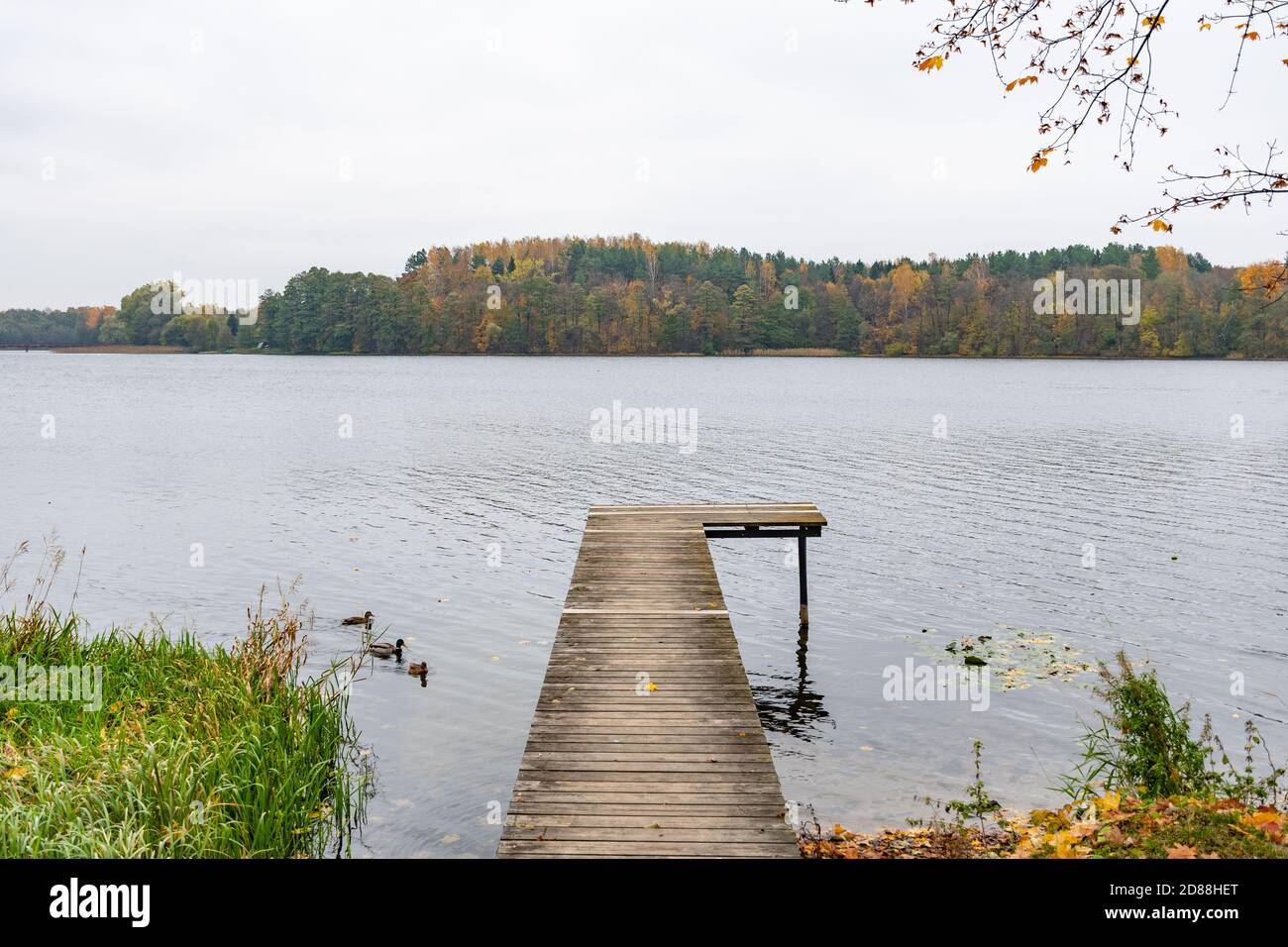Forest sky pier hi-res stock photography and images - Alamy