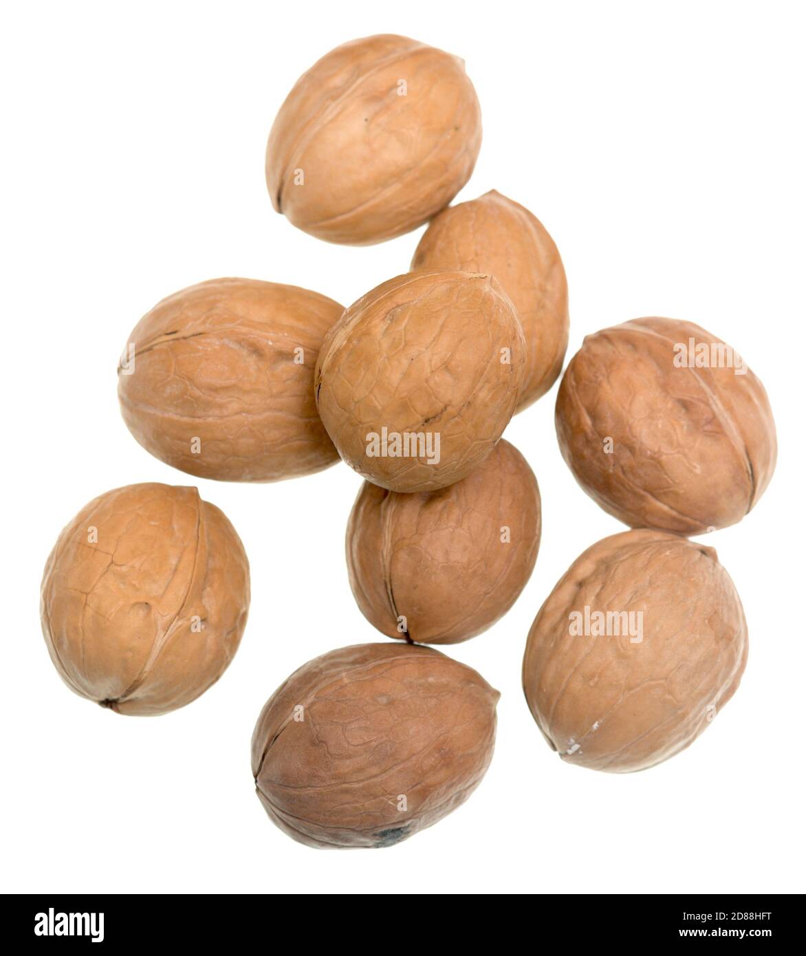 Walnut isolated on white background Stock Photo - Alamy