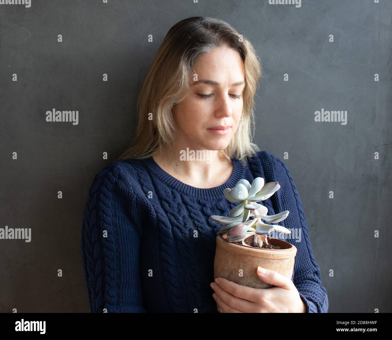 Beautiful young succulent plant hi-res stock photography and images - Alamy