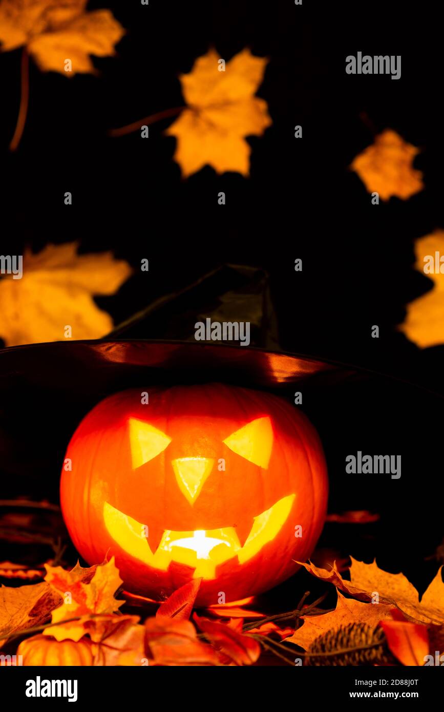 Halloween Still Life Colorful Theme Scary Decorated Dark and yellow ...