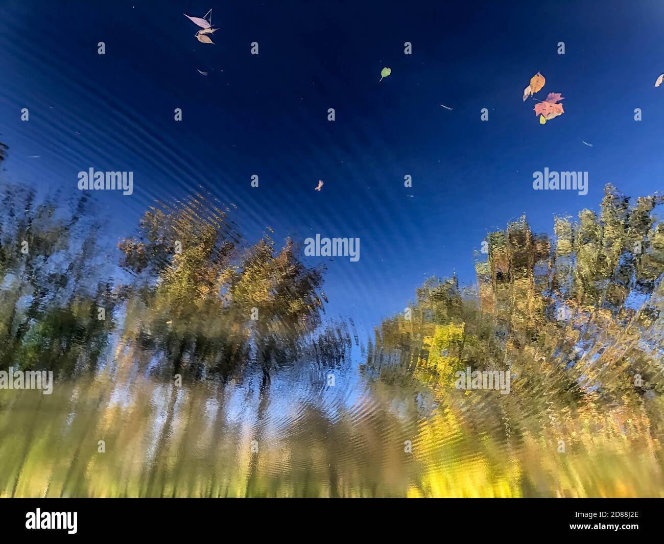 Trippy color hi-res stock photography and images - Alamy
