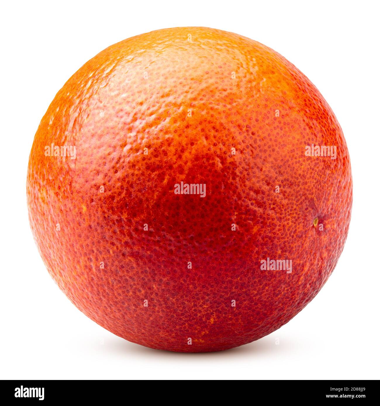 red blood orange, isolated on white background, clipping path, full ...