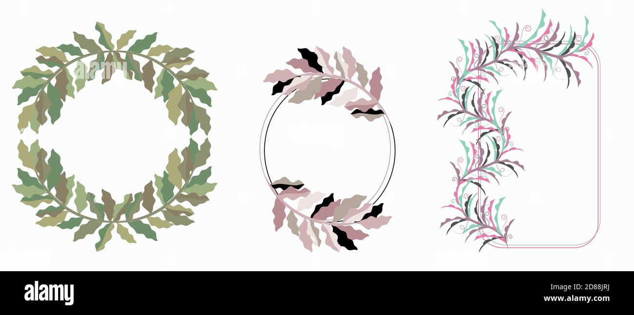 illustration of branches with frames Stock Vector Image & Art - Alamy