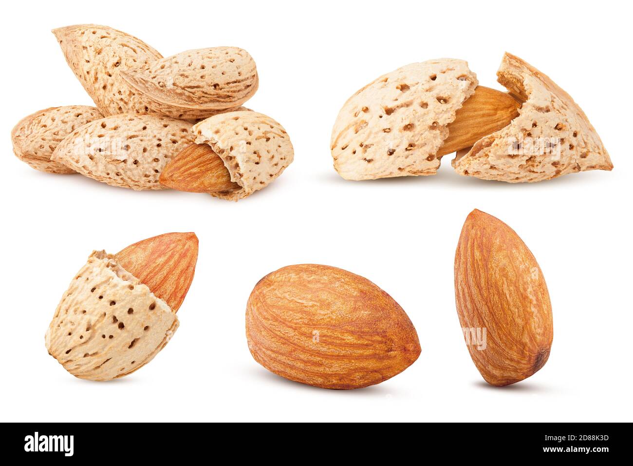 Almond nut in shell isolated on white background, full depth of field ...