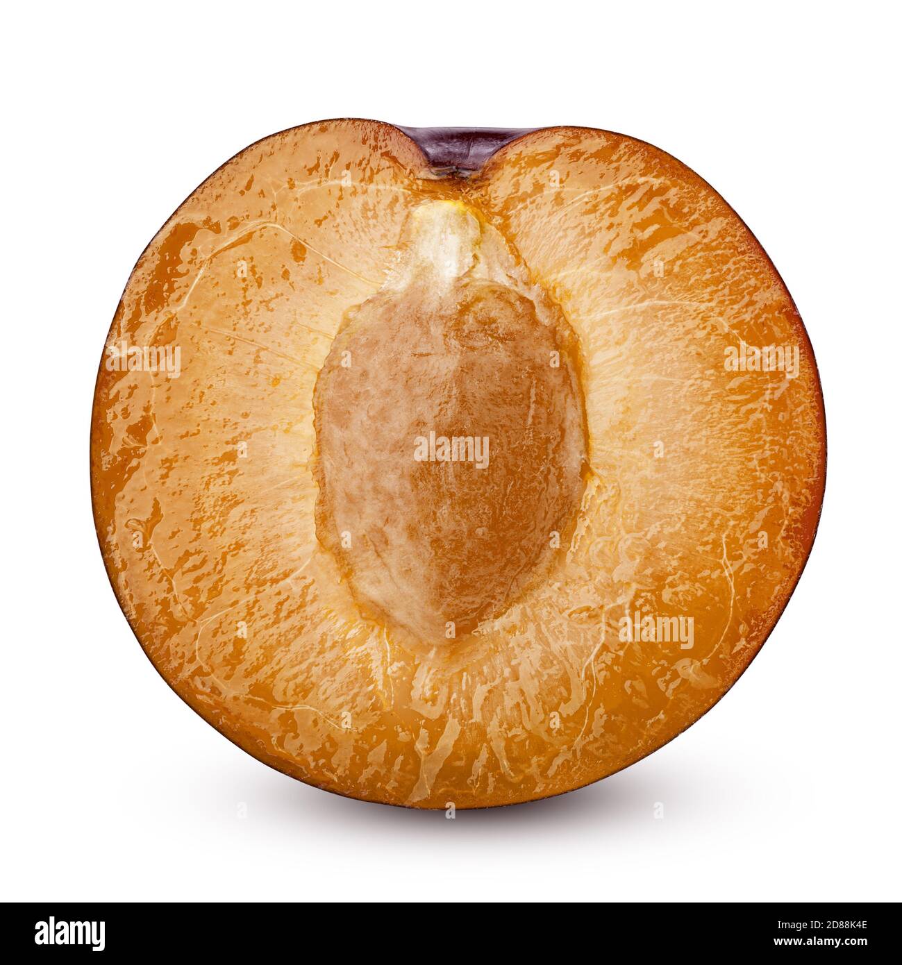 Cross section plum hi-res stock photography and images - Alamy