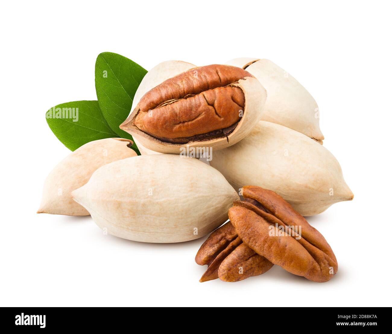 pecan, nut, isolated on white background, clipping path, full depth of ...