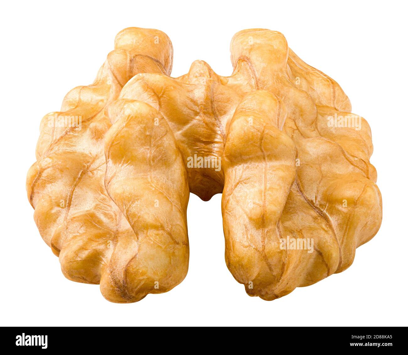 walnut, nut, isolated on white background, clipping path, full depth of ...