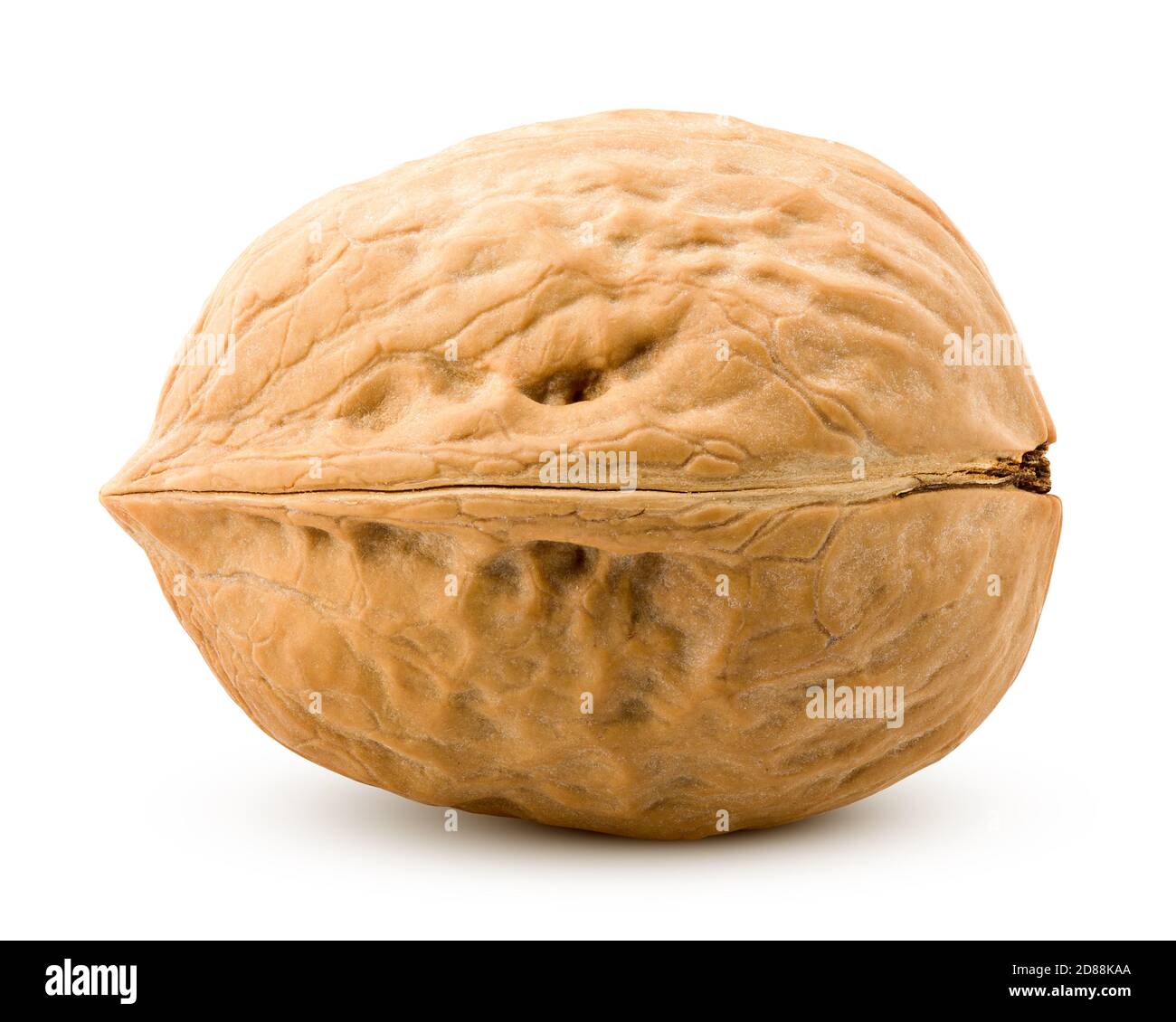 walnut, nut, isolated on white background, clipping path, full depth of ...