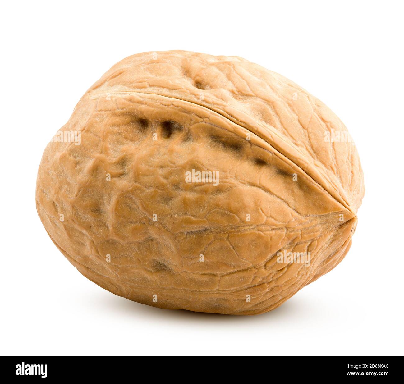 walnut, nut, isolated on white background, clipping path, full depth of ...