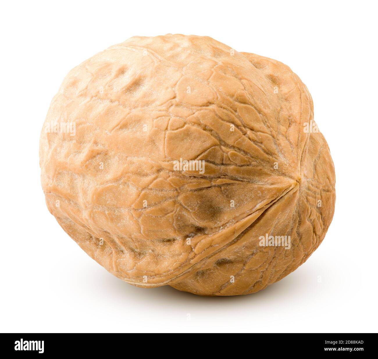 walnut, nut, isolated on white background, clipping path, full depth of ...