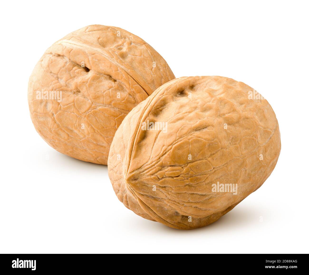 walnut, nut, isolated on white background, clipping path, full depth of ...