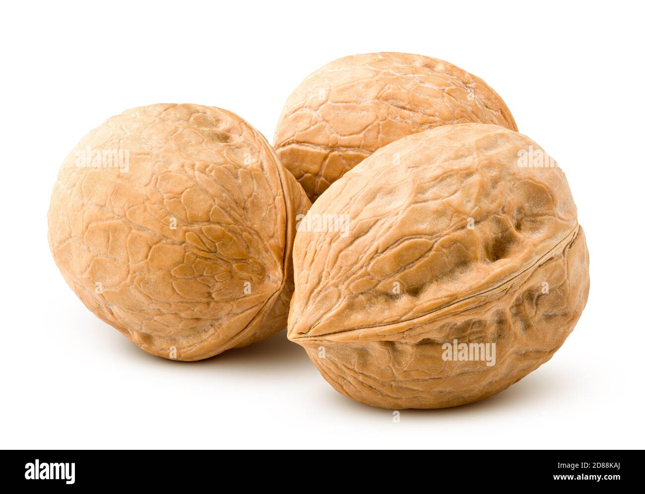 walnut, nut, isolated on white background, clipping path, full depth of ...