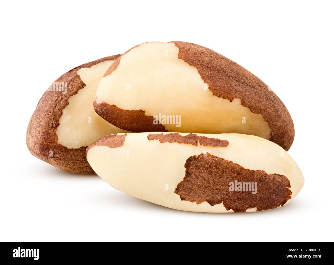 brazil nut, isolated on white background, clipping path, full depth of ...