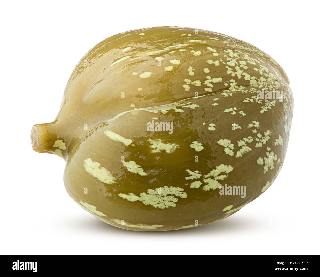 caper isolated on white background, clipping path, full depth of field ...