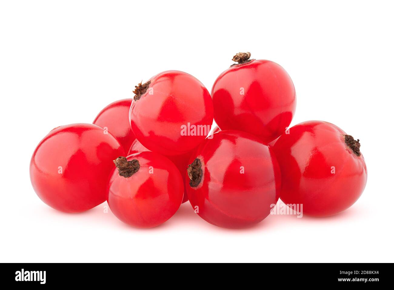 Red currant isolated on white background, clipping path, full depth of ...