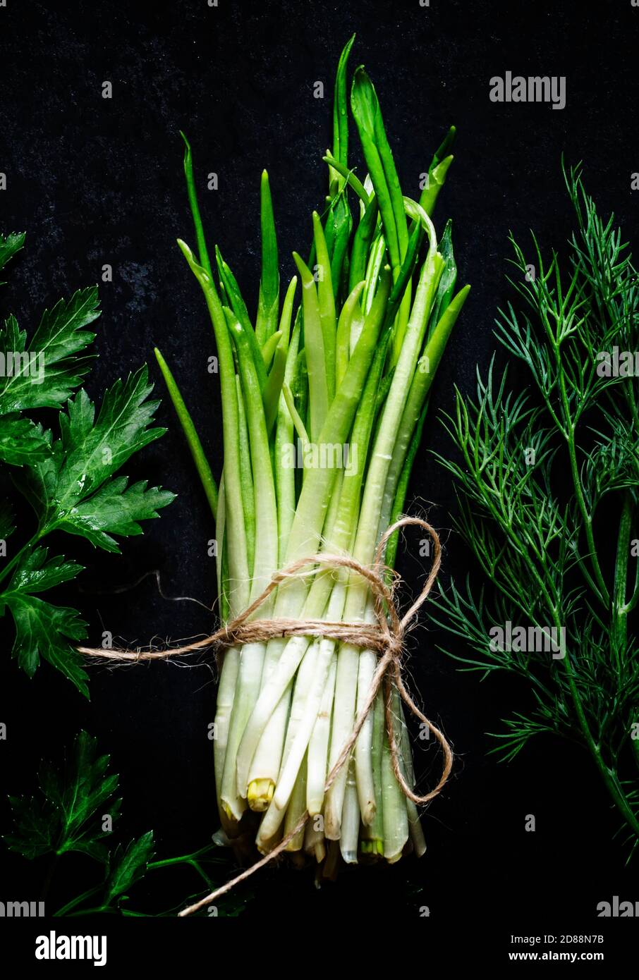 Food background, fresh wild garlic sprouts on a dark background, top ...