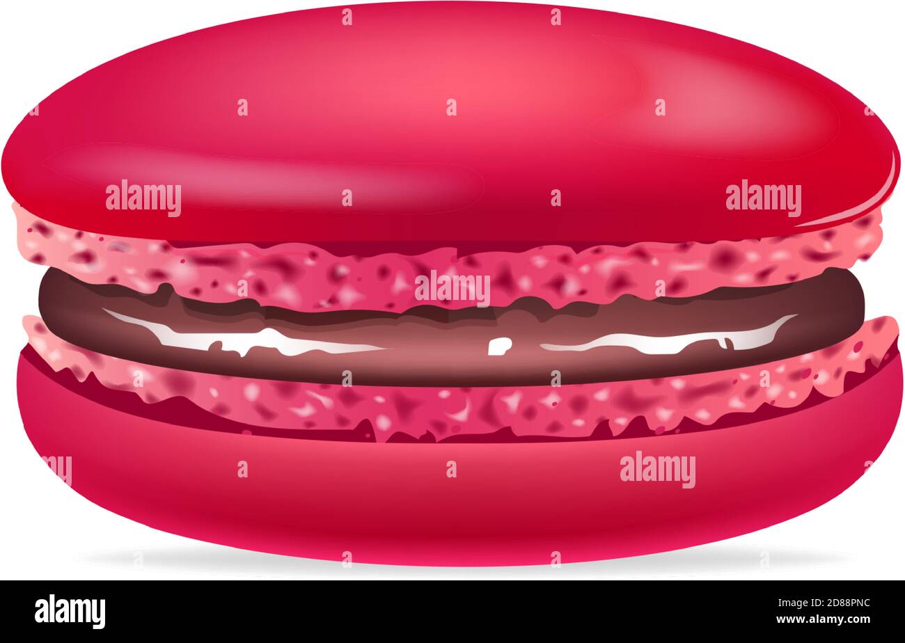 Macaroon, traditional french dessert realistic vector illustration ...