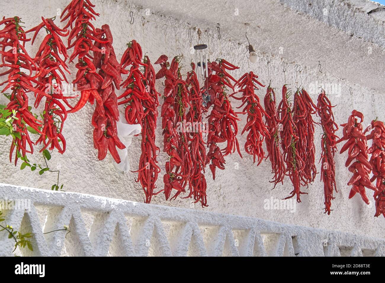 photography of red peppers drying Stock Photo - Alamy