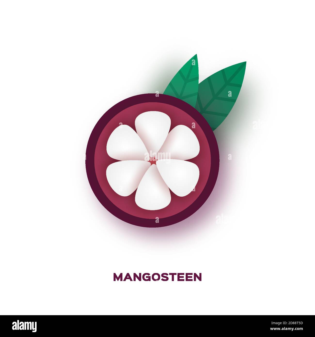 Isolated mangosteens. Two whole fruits and one half isolated on white ...