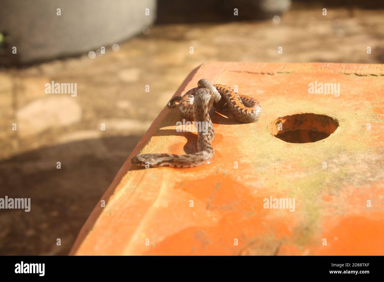 Catching up on way hi-res stock photography and images - Alamy