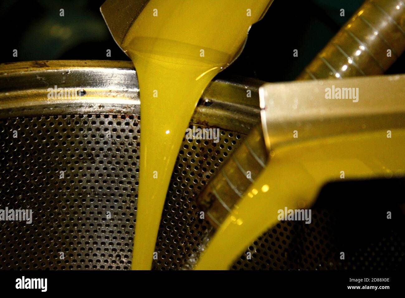 Extra virgin olive oil extraction process in olive oil mill in the ...