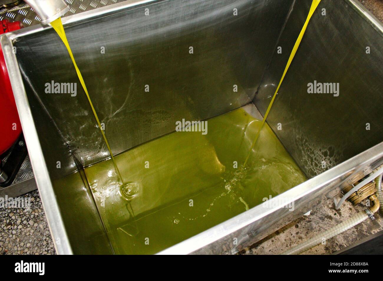 Extra virgin olive oil extraction process in olive oil mill in the ...