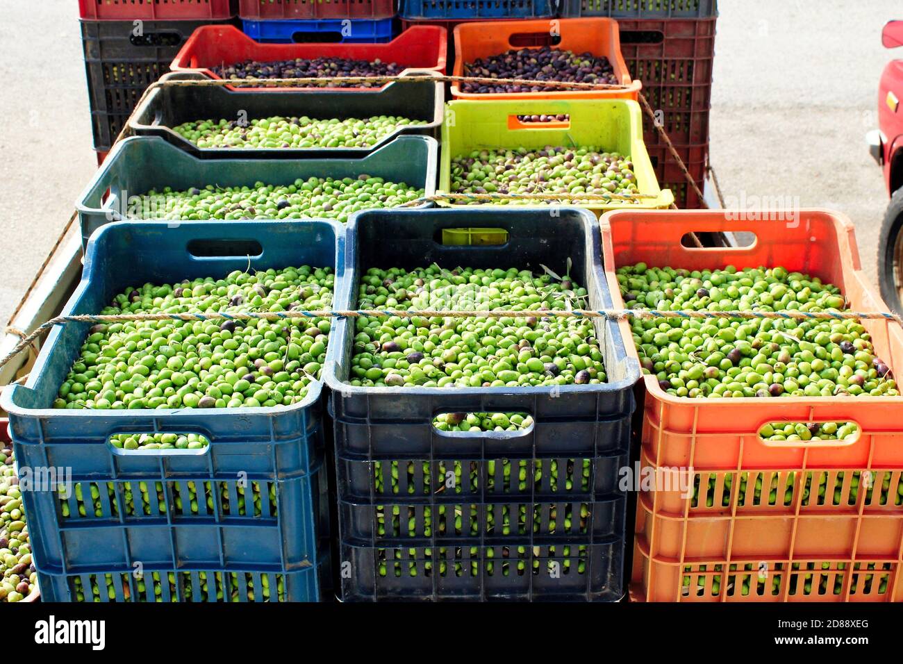 Olive oil containers hi-res stock photography and images - Alamy