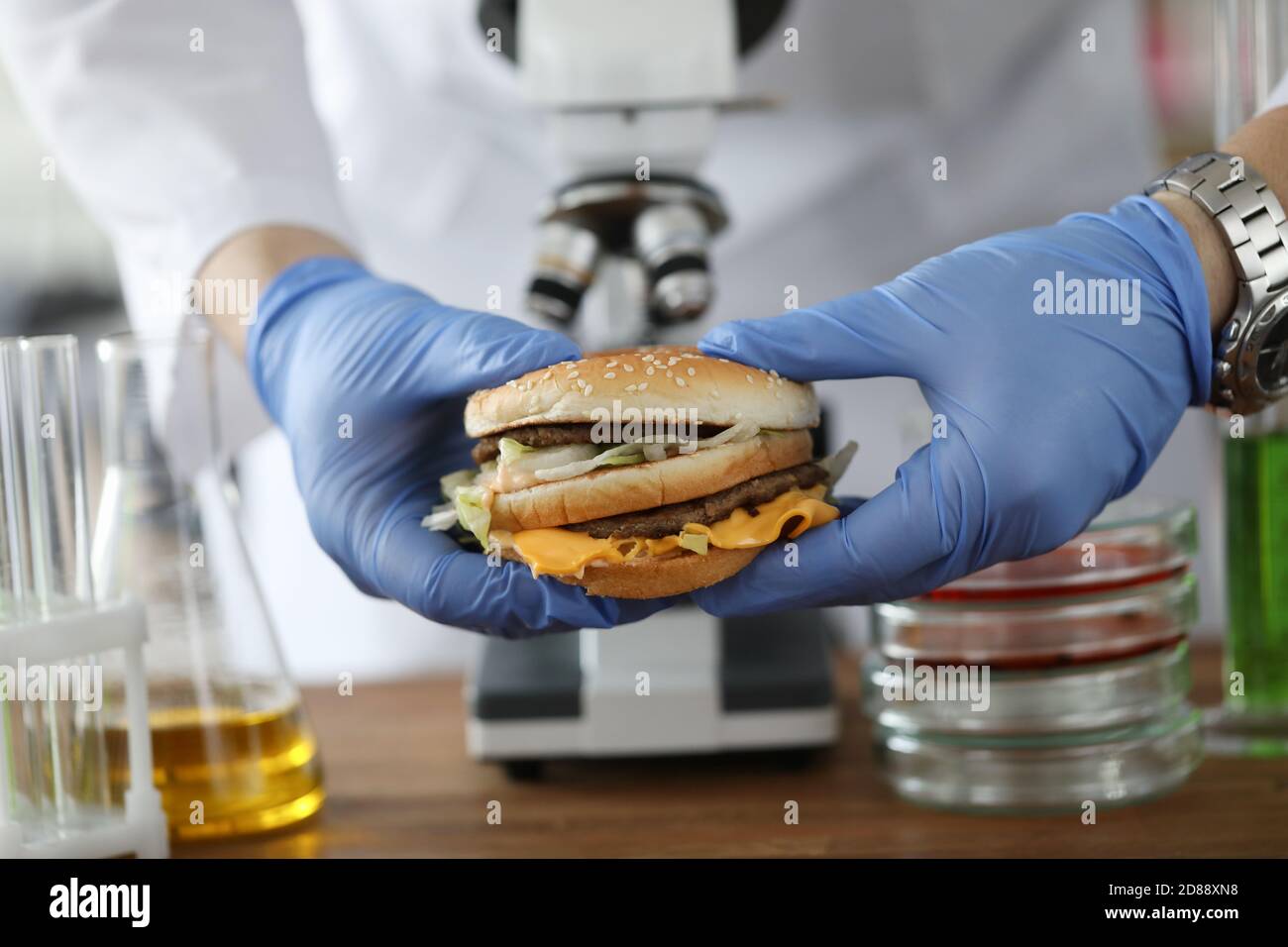 Scientist in rubber gloves hold hamburger in front of microscope and ...
