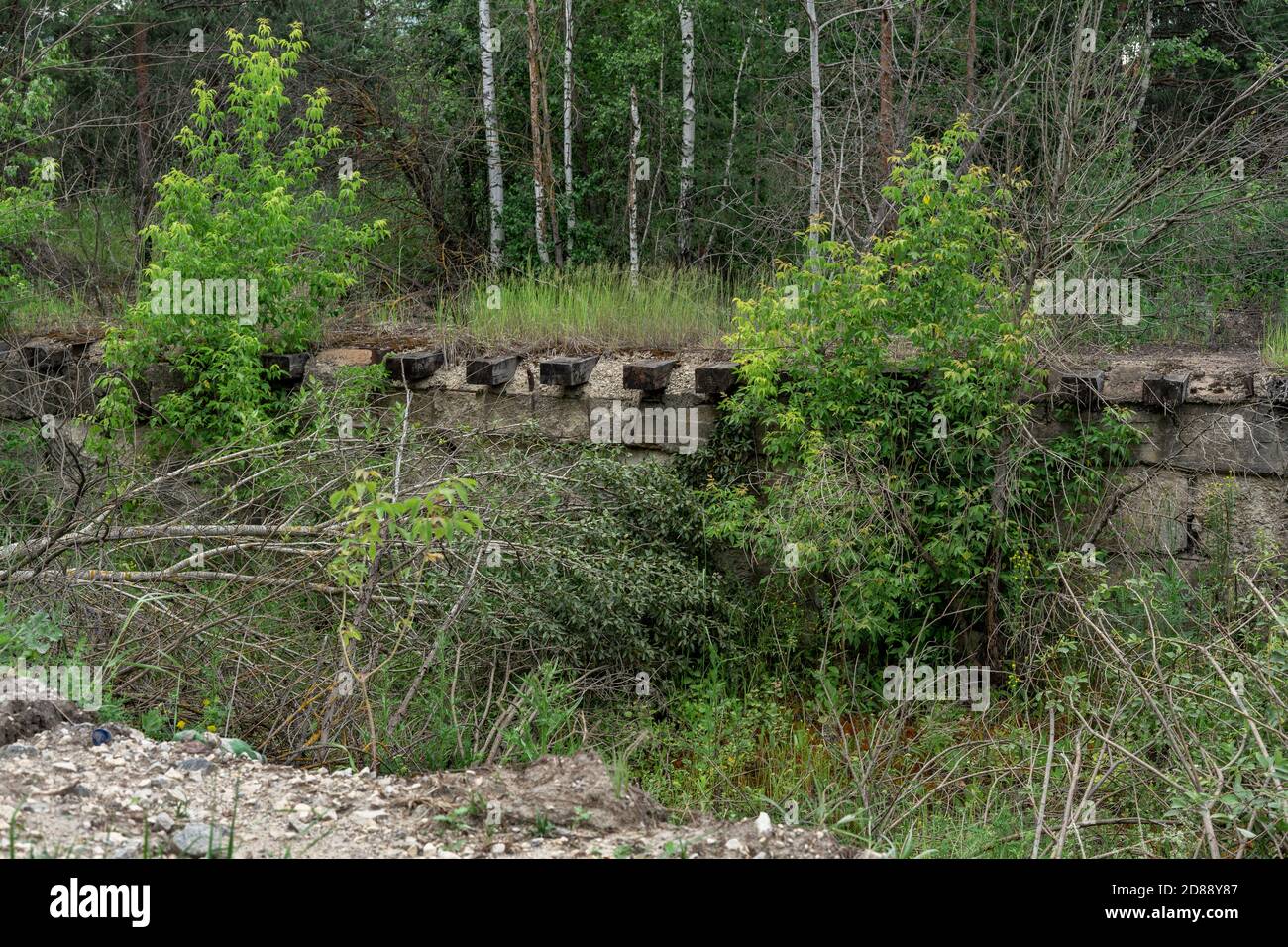 Old dilapidated factory overgrown hi-res stock photography and images ...
