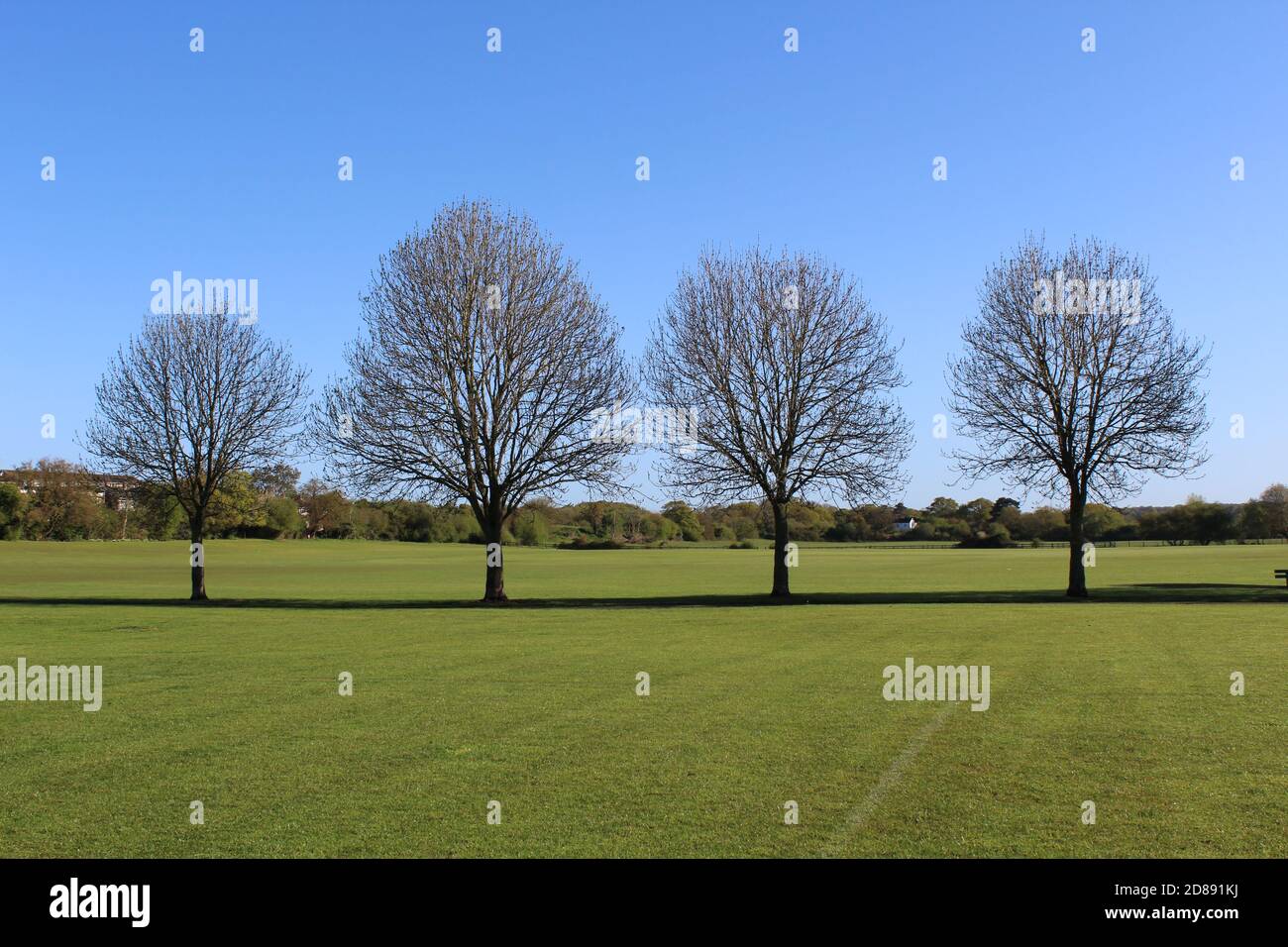 Four trees hi-res stock photography and images - Alamy