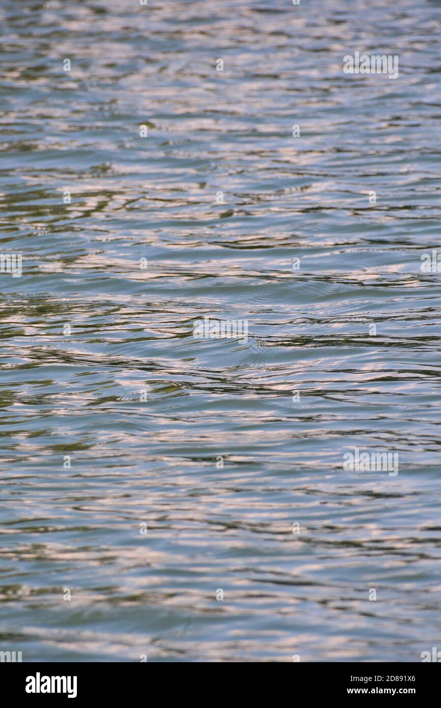 Water Pattern Texture Stock Photo - Alamy