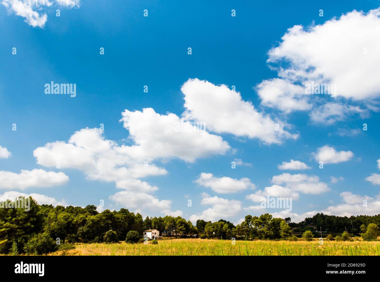 Natural landscape with blue sky and white clouds background Stock Photo ...