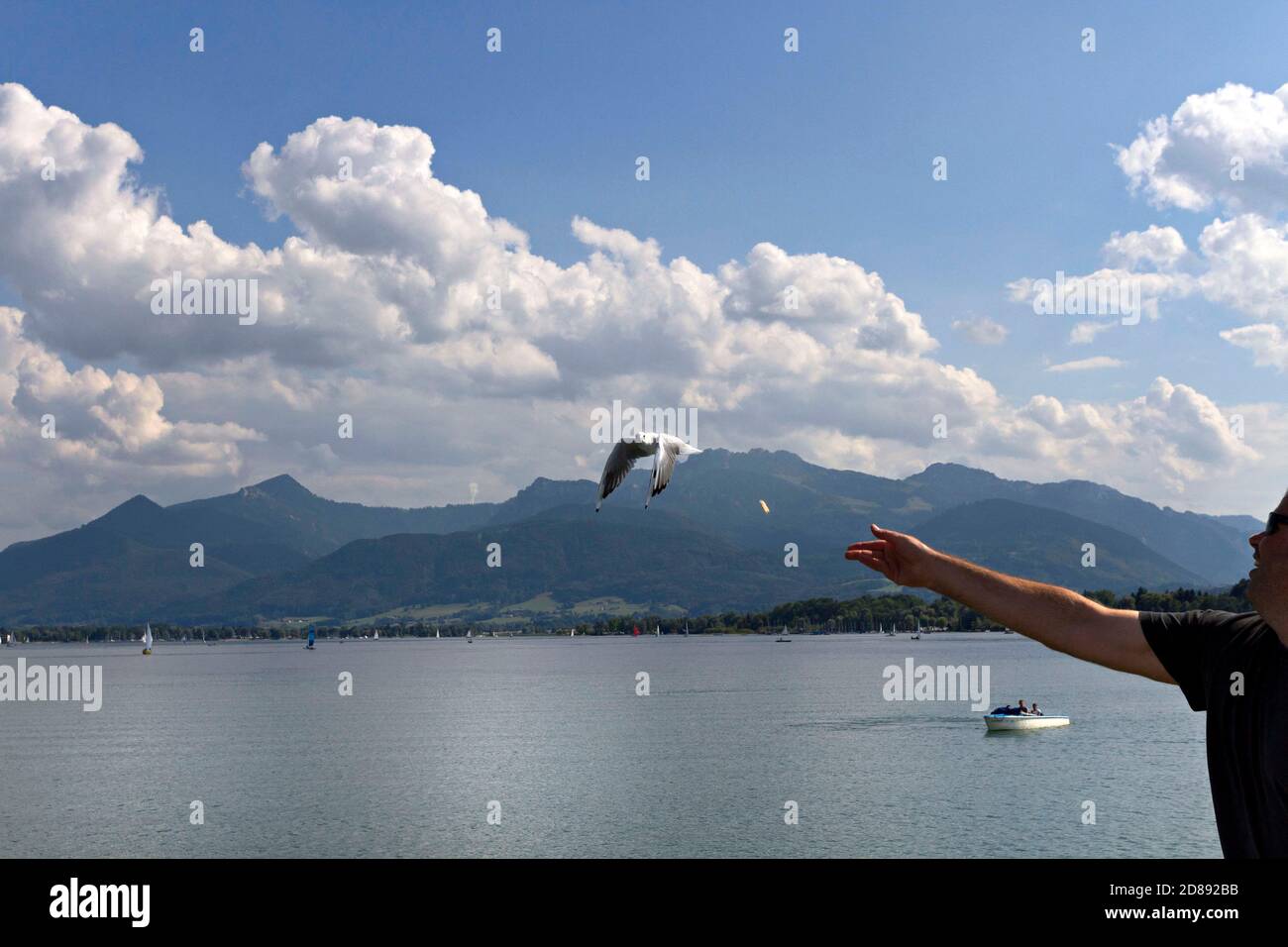 Man throwing food hi-res stock photography and images - Alamy