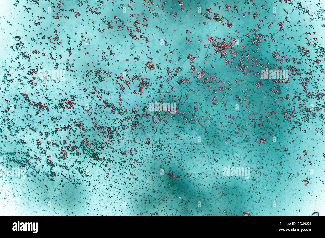 Picture of small bubbles underwater taken in North Queensland Great ...