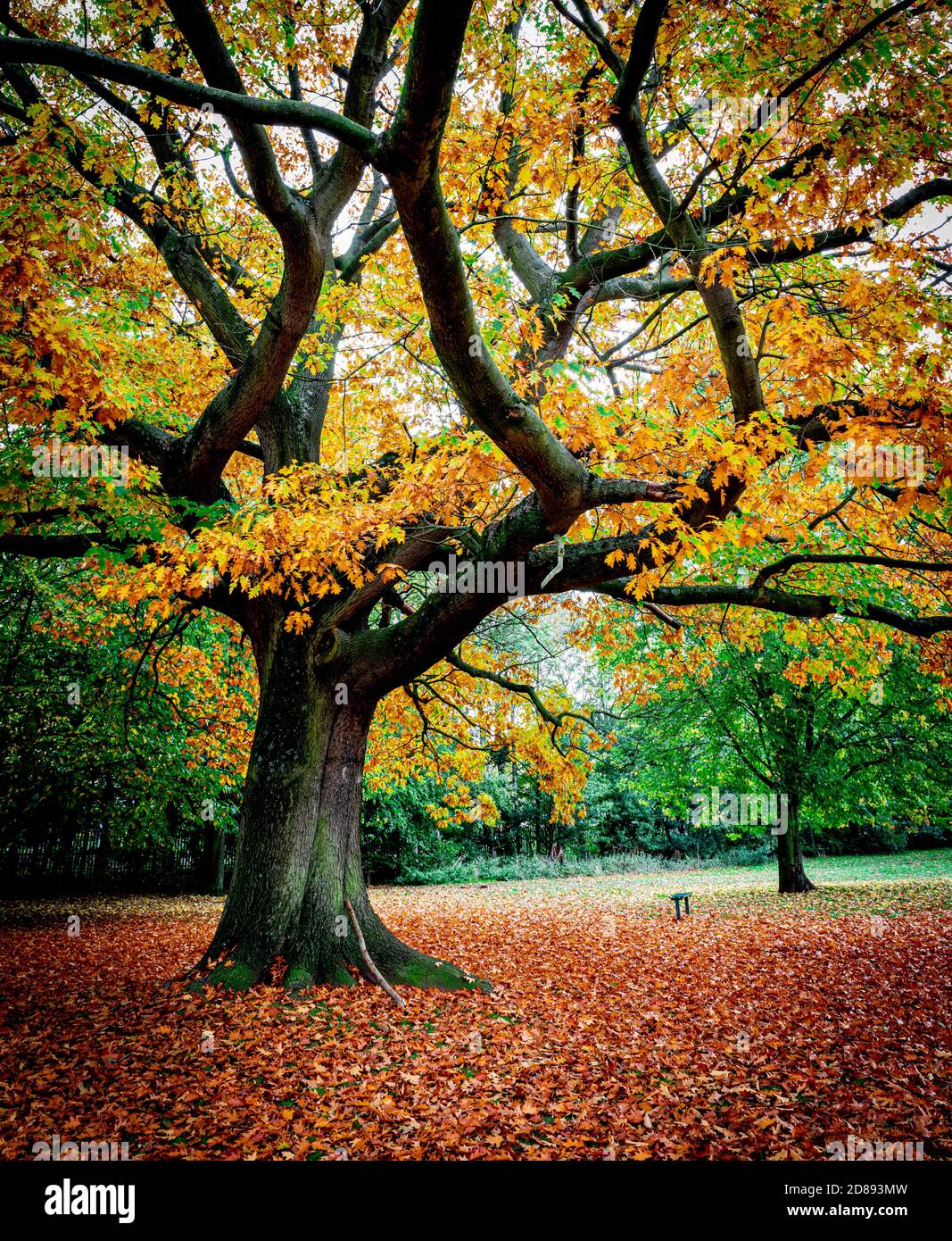 Bramcote Hills High Resolution Stock Photography and Images - Alamy