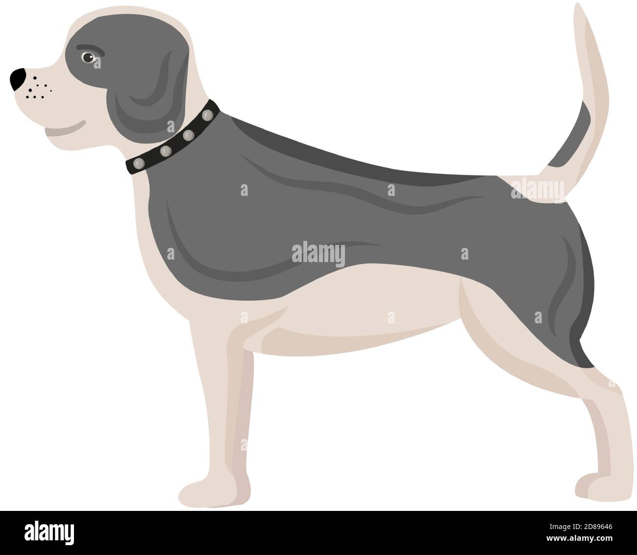 Grey shepherd puppy Stock Vector Images - Alamy