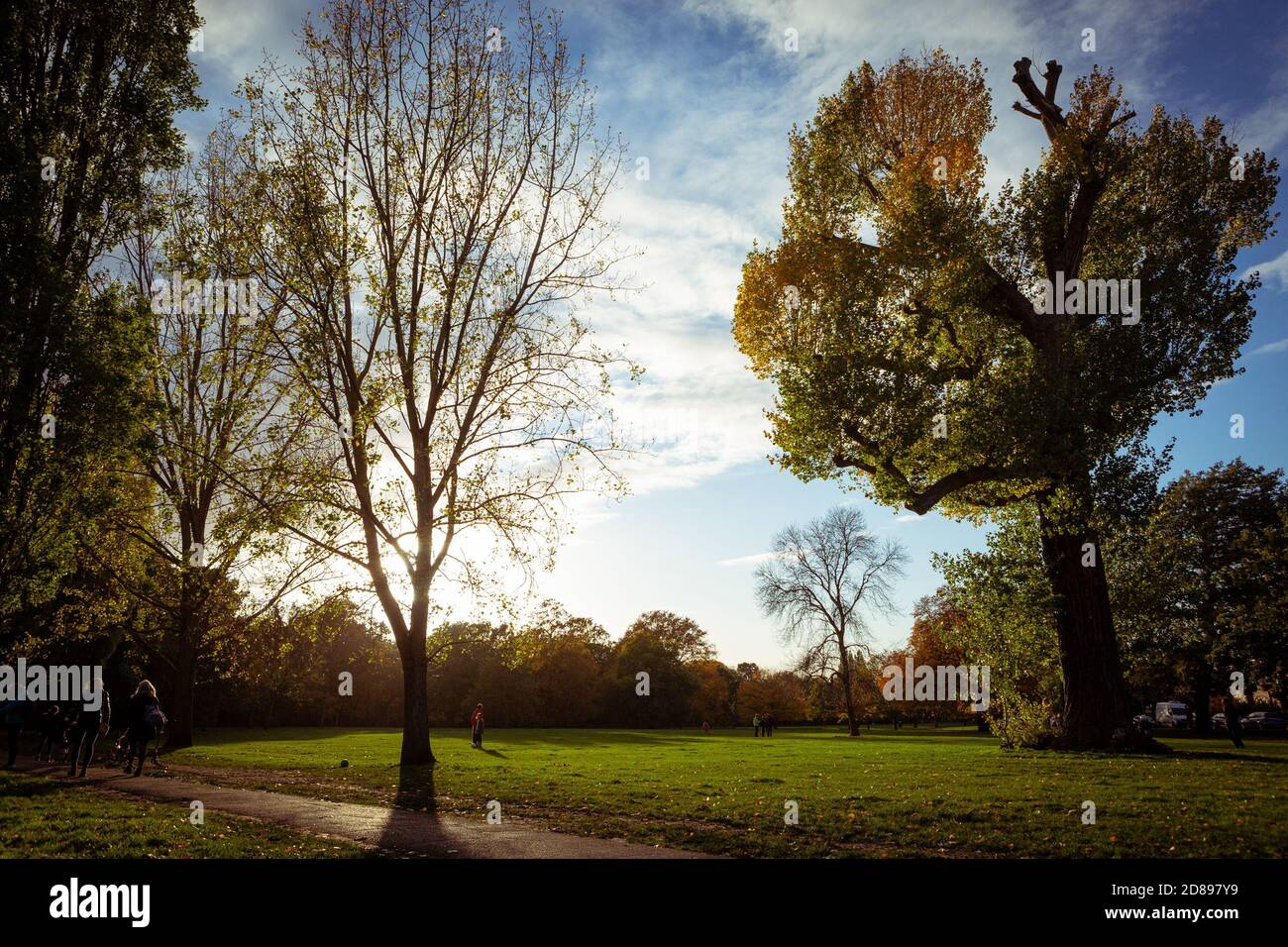 Autumn afternoon in the park among trees. Golden sunset Stock Photo - Alamy