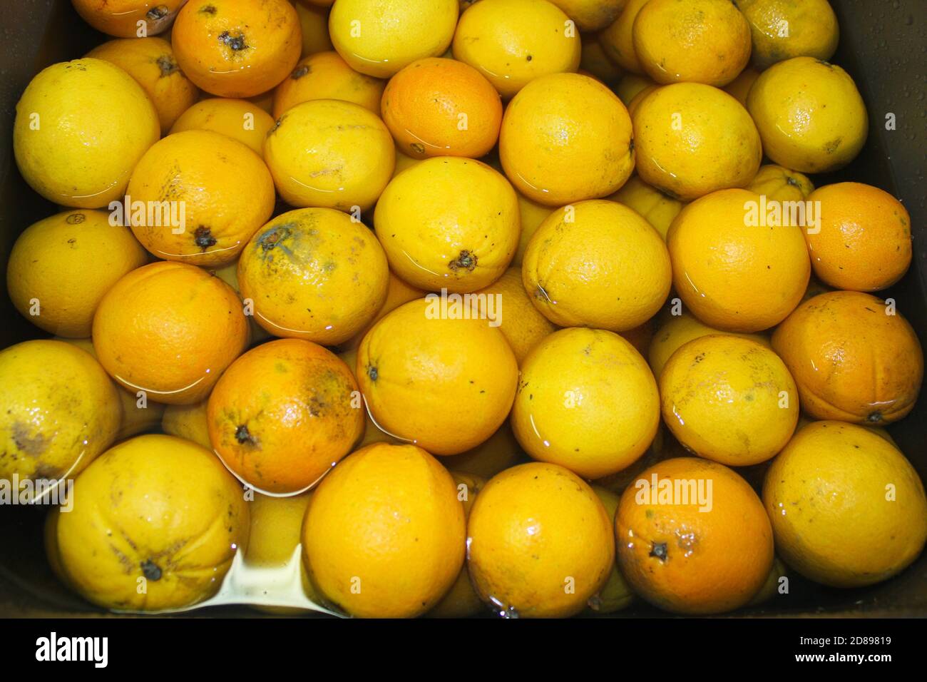 Cleaning oranges hi-res stock photography and images - Alamy